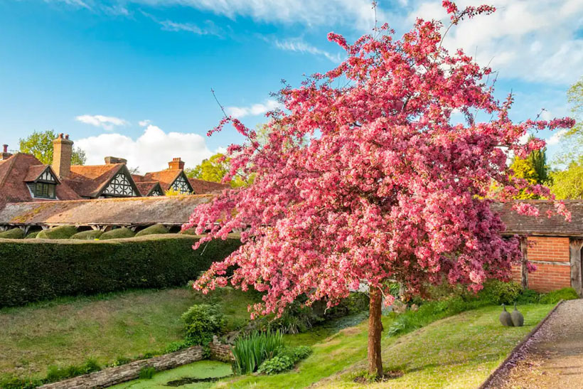 Surrey Cottage, Surrey | The Country Castle Company